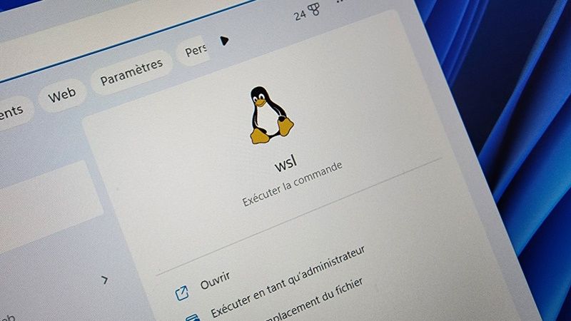 Wsl Setup On A New Windows 11 Machine For Go Development 